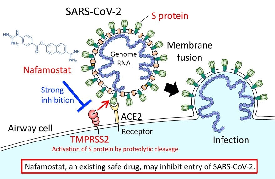 New Publication: A Randomized Trial of Nafamostat for Covid-19 – ASCOT ...